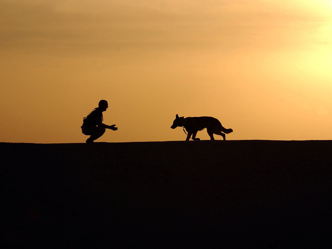 Useful Techniques To Train A Devoted Dog - Easy Dog Training Center